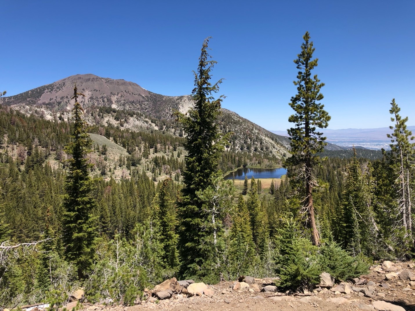 The Top Camping Areas Within One Hour of Reno | Reno, Nevada