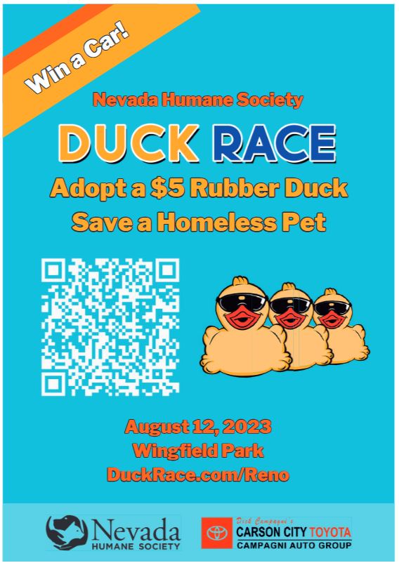 Duck Race | Nevada Humane Society | Nevada Events