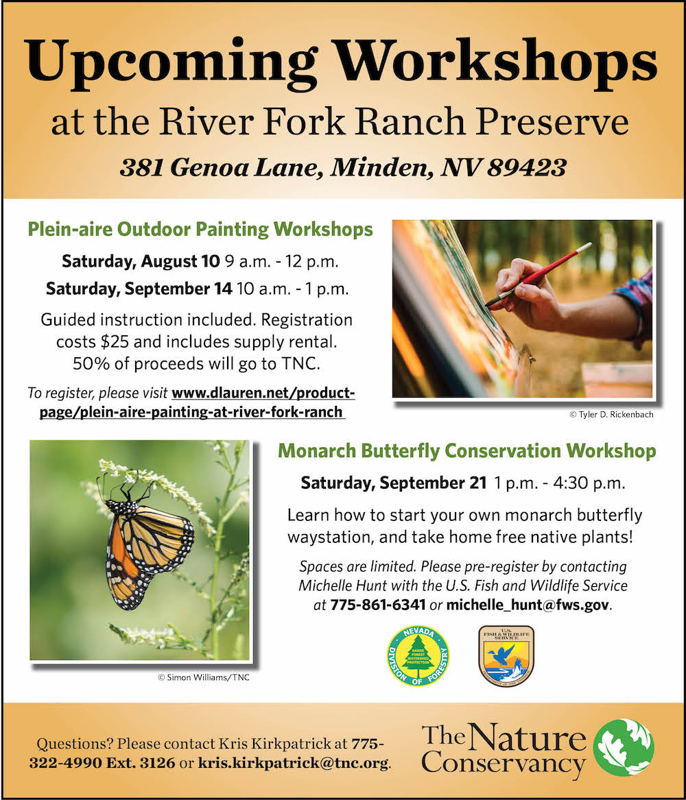 Monarch Butterfly Conservation Workshop | The Nature Conservancy in Nevada | Nevada Events