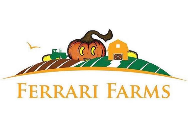 Ferrari Farms Pumpkin Patch | Reno Tahoe Carson